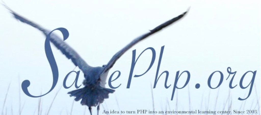 Last week I missed the 20th anniversary of my biggest accomplishment – tim solanic